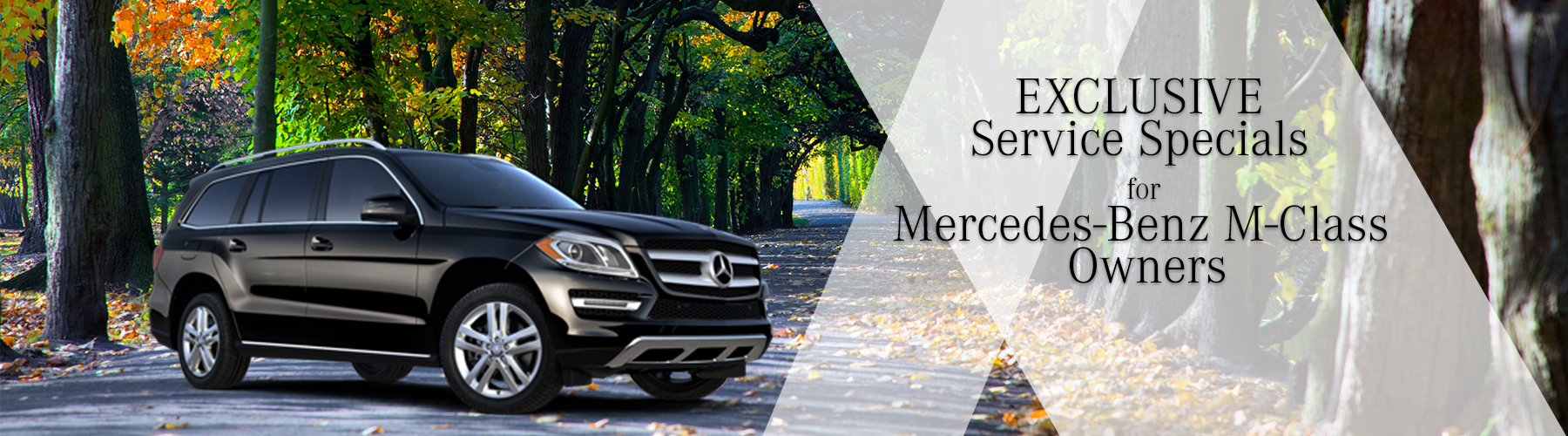 Mercedes-Benz M-Class Special | Mercedes-Benz of Edison